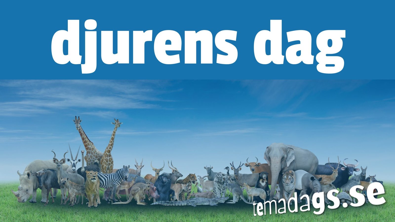 Djurens dag 2026 - Datum, fakta och tips